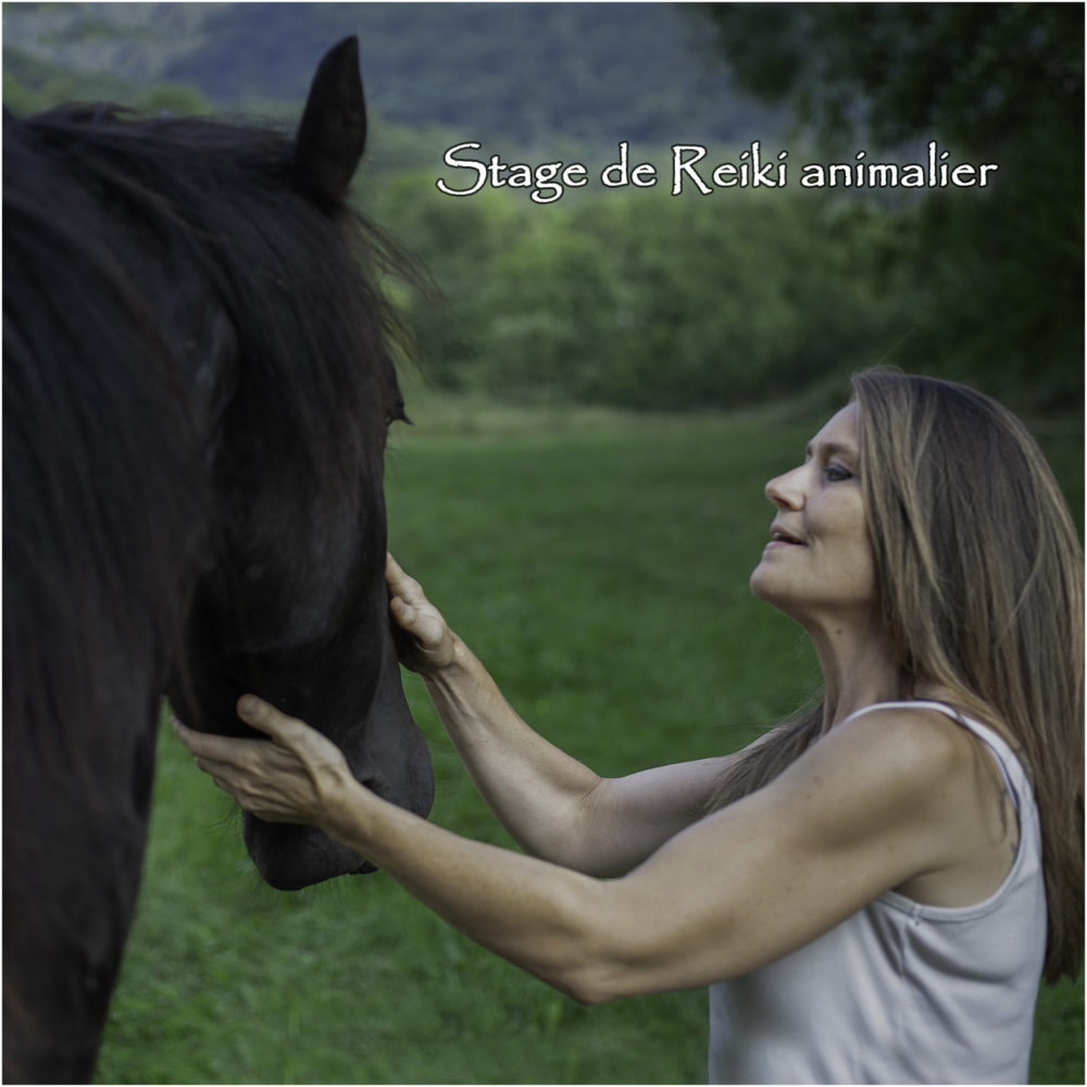 Stage de Reiki animalier - Marie-Noëlle Gonnon